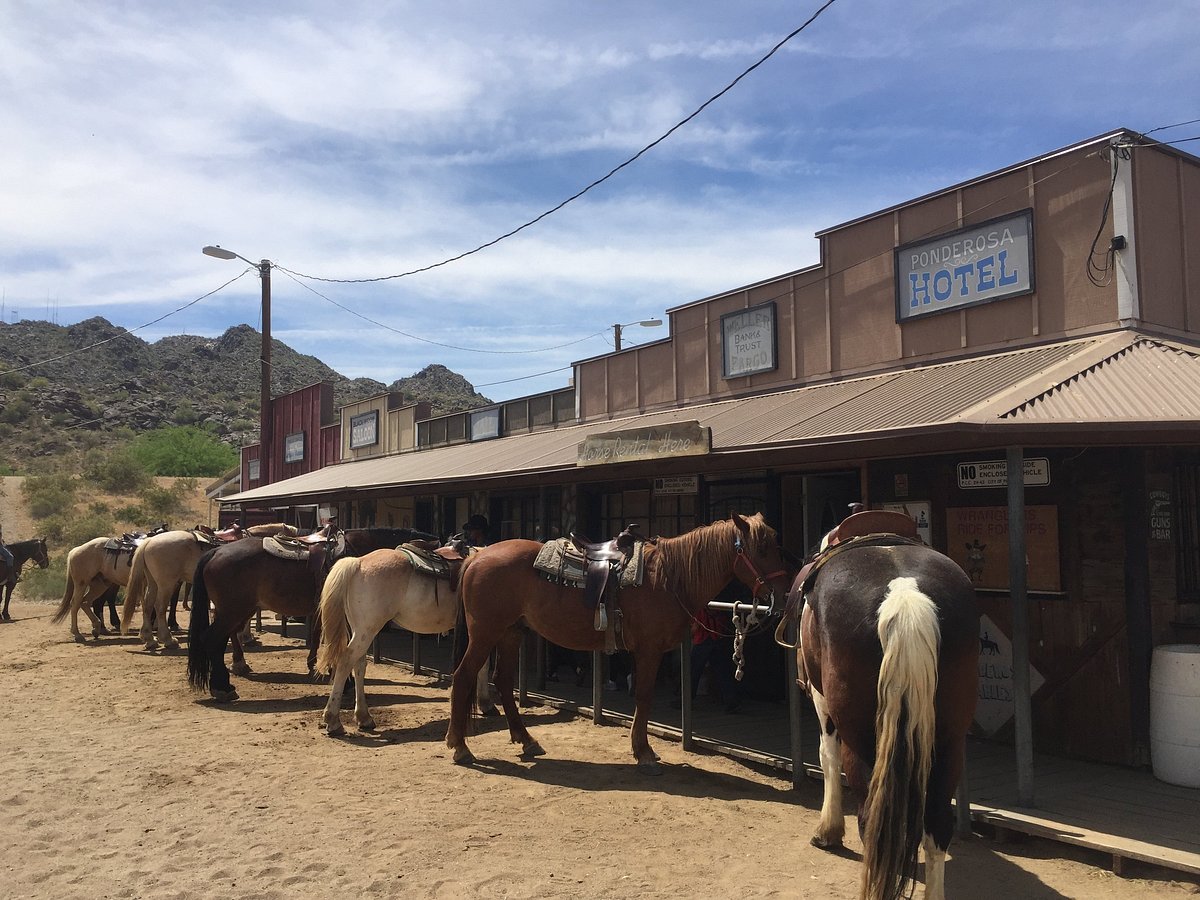Trail Rides & Horse Riding in Arizona | Arizona Horseback Riding